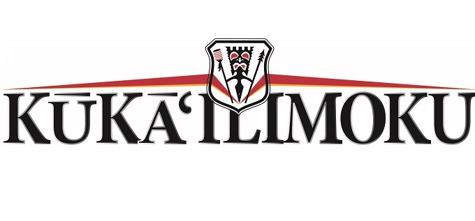 Hawaii Air National Guard 154th Wing